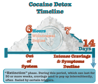 Cocaine Detox: How Long Is It in My System? - River Oaks