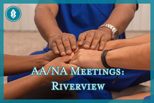 AA & NA Meetings and Options in Florida | River Oaks Treatment